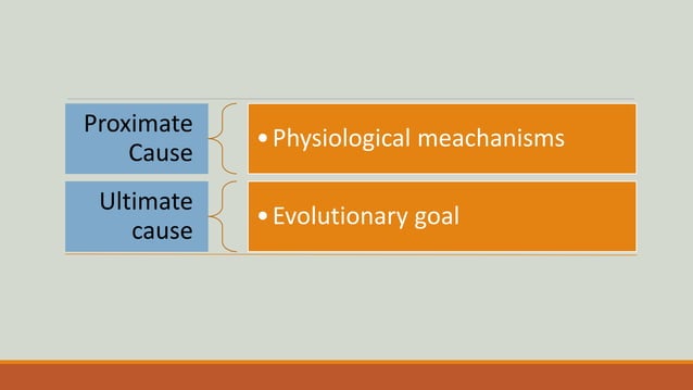 Proximate vs ultimate causes of animal behavior | PPTX | Genetics | Science