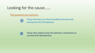 Proximate vs ultimate causes of animal behavior | PPTX