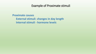 Proximate vs ultimate causes of animal behavior | PPTX
