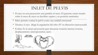 Proyección de pelvis inlet outlet | PPTX