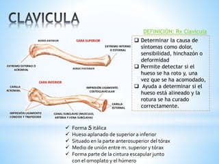 Proyecciones clavícula y especiales detórax | PPTX
