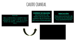 proyecciones mastograficas, MANUAL DE PROYECCIONES | PDF