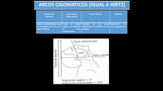 PROYECCIONES RADIOGRÁFICAS DE CRANEO | PPTX
