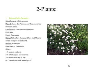 Animals and plants | PPT