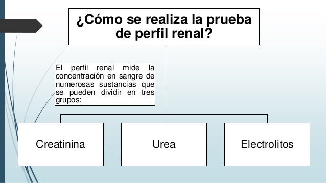 Proyecto final-de-bioquímica-perfil-renal- UNACH