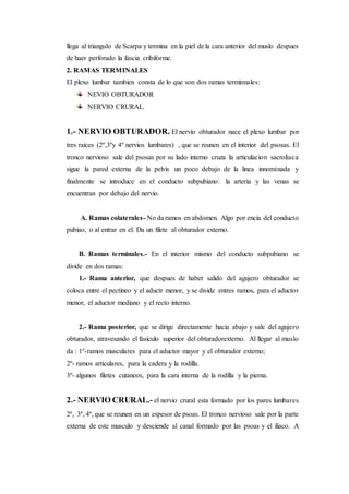 LESIONES DEL PLEXO LUMBAR | DOCX
