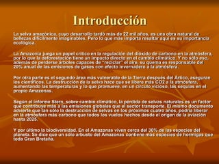 La Selva Amazónica y su destrucción | PPTX