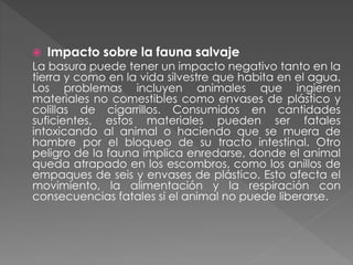 No tirar basura | PPTX