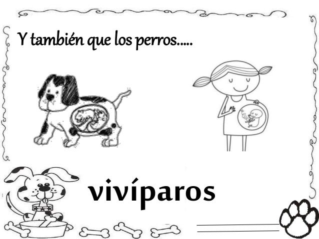 Proyecto perros infantil 3-4 años.pptx2