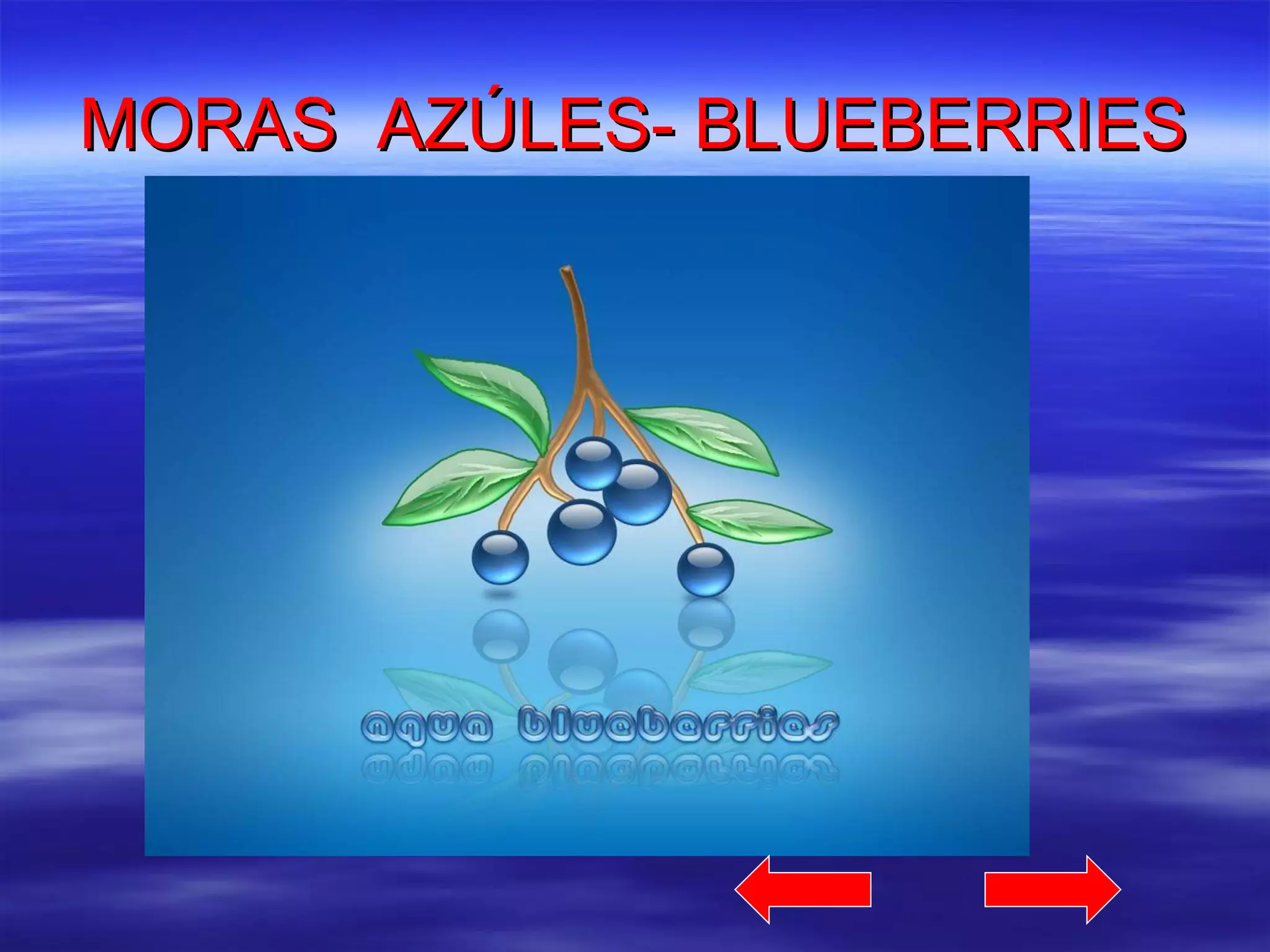 Proyecto de aula | PPT Proyecto de aula | PPT