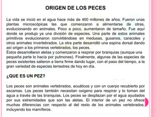 Diapositivas Proyecto TIC Conociendo los Peces | PPT