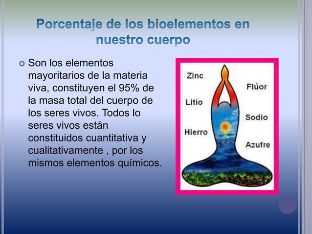 Bioelementos en el cuerpo humano | PPTX