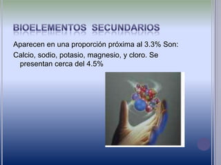 Bioelementos en el cuerpo humano | PPTX