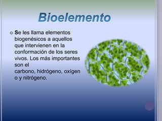 Bioelementos en el cuerpo humano | PPTX