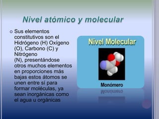 Bioelementos en el cuerpo humano | PPTX