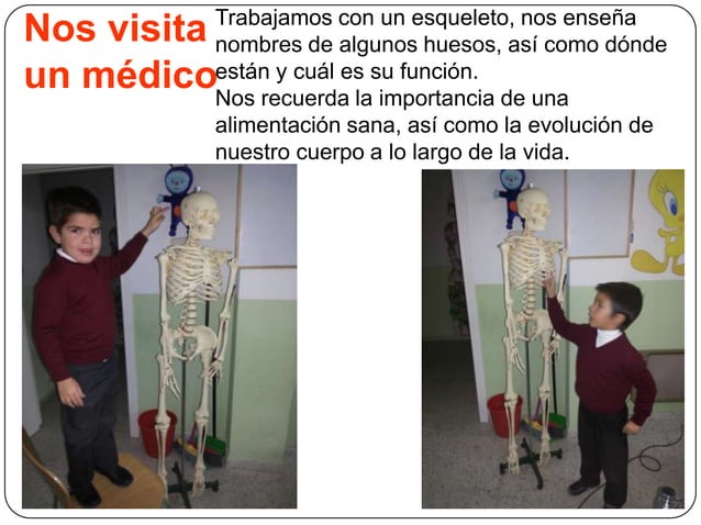 Proyecto de comprensión el cuerpo humano | PPTX