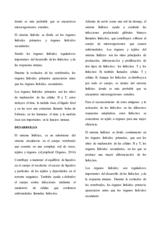 Órganos Linfoides Primarios | DOCX