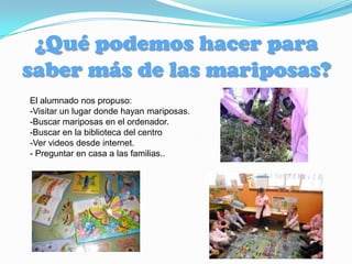Las mariposas Infantil 5 años | PPTX