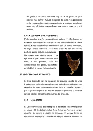 Todo Sobre El Proyecto De Gallinas Ponedora Para Hacerlo Un, 52% OFF