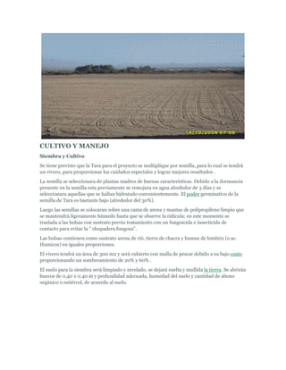 Proyecto de pre factibilidad para la instalación de 100 hectáreas de ...