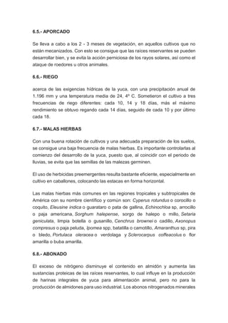 Proyecto de producción agrícola productiva de yuca.docx