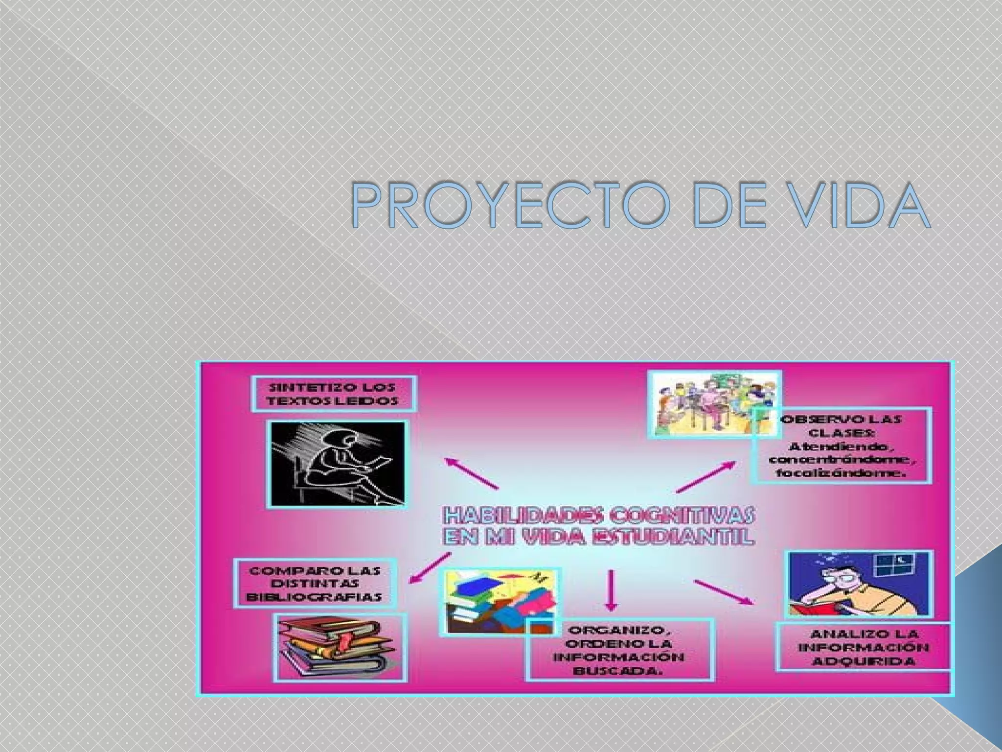 Proyecto De Vida Ppt