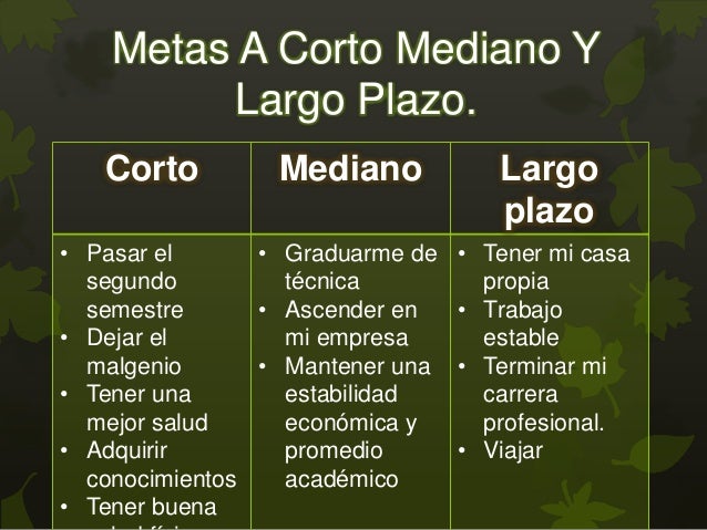 Proyecto De Vida Leris Metas A Corto Mediano Y Largo Plazo