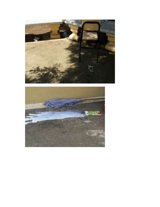 Proyecto el manejo de la basura en la escuela jose german por candida ...