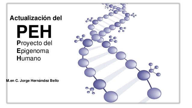 Proyecto epigenoma humano