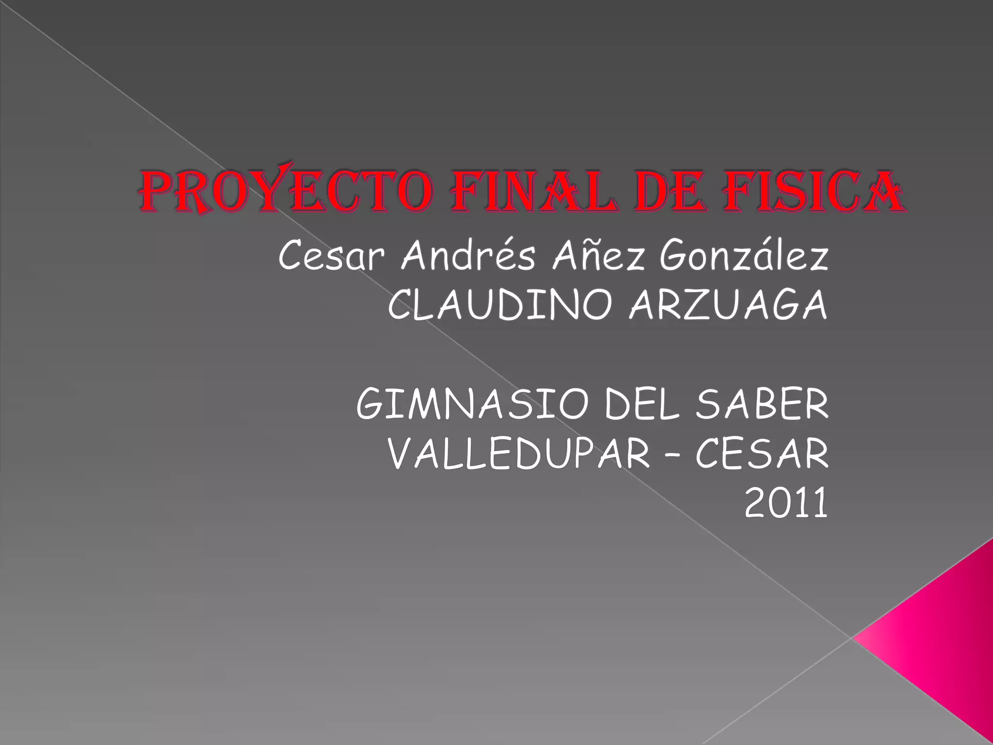 Proyecto Final De Fisica – PING