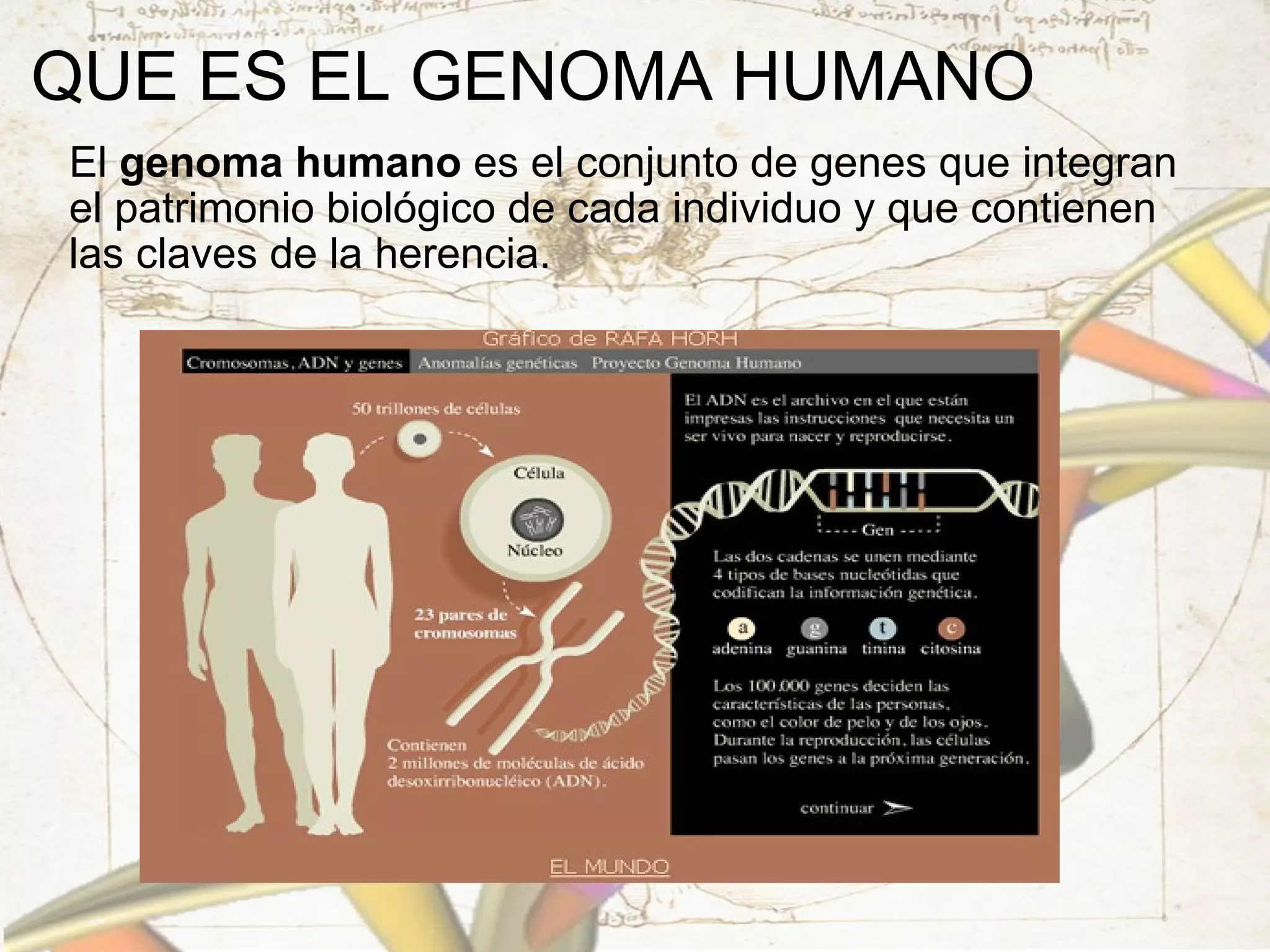Proyecto Genoma Humano | PPT