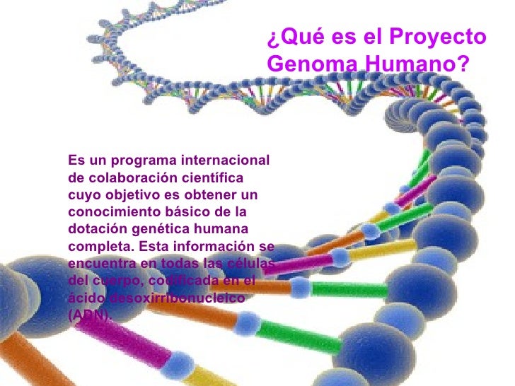 Proyecto genoma humano