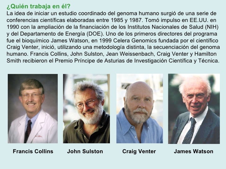 La Cronologa Del Descubrimiento Del Genoma Humano