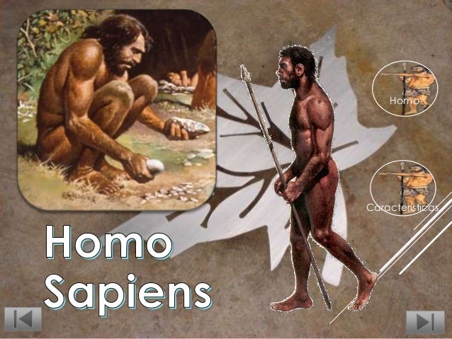 La Evolucion del Hombre
