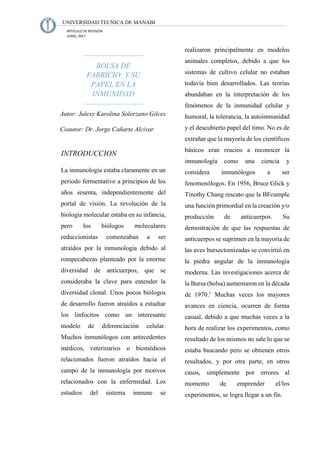 Bolsa de Fabricio | PDF