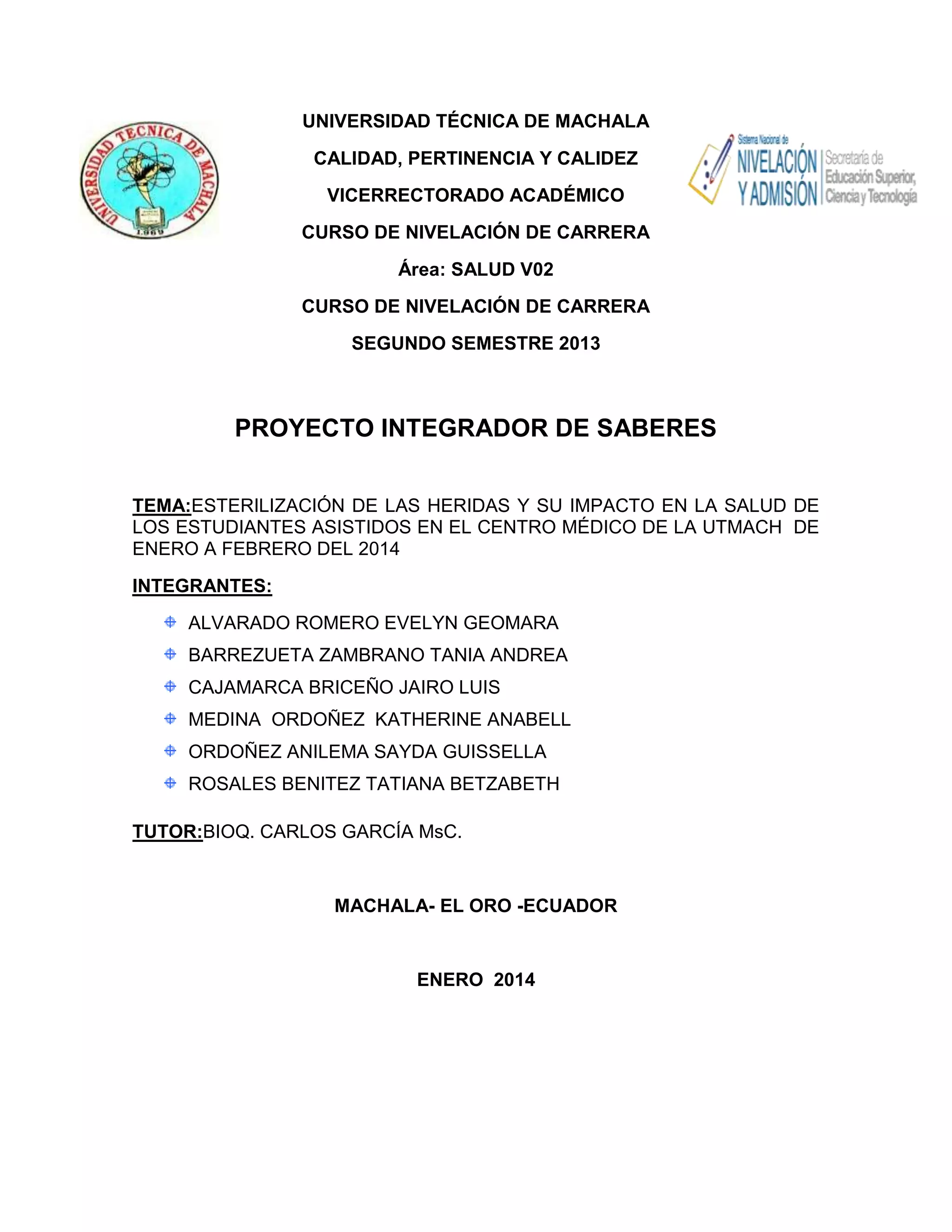 Proyecto integrador de saberes | PDF