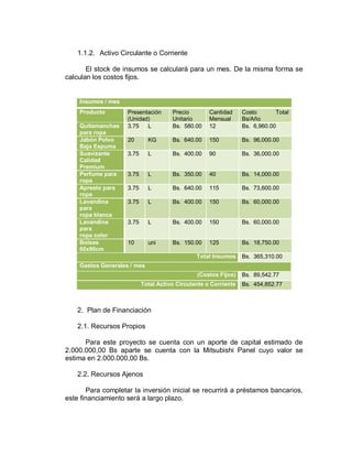 Proyecto de Inversión. Caso Practico: Lavanderia | PDF