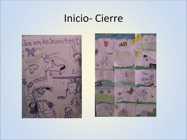 Proyecto Los Insectos | PPT