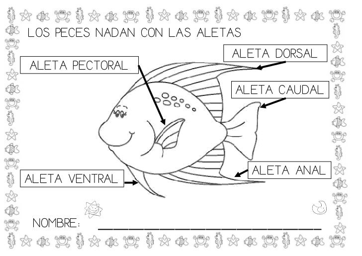 LOS EXPLORADORES: abril 2017