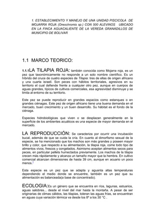 Proyecto mojarra | DOCX