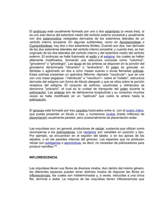 Proyecto Orquideas 9 2 | ODT