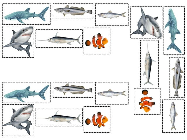 Proyecto peces | PDF
