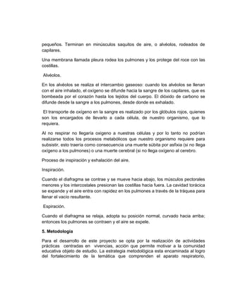 Proyecto pedagogico el aparato respiratorio jaydis castro erm cuatro ...