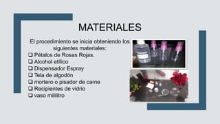 PROYECTO PERFUME.pptx