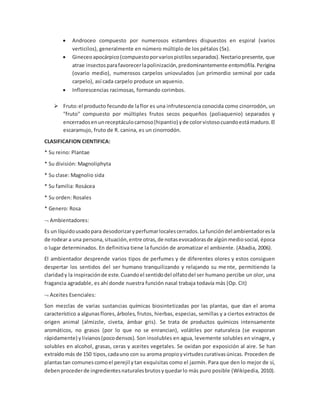 Proyect o petalos de rosas | DOCX