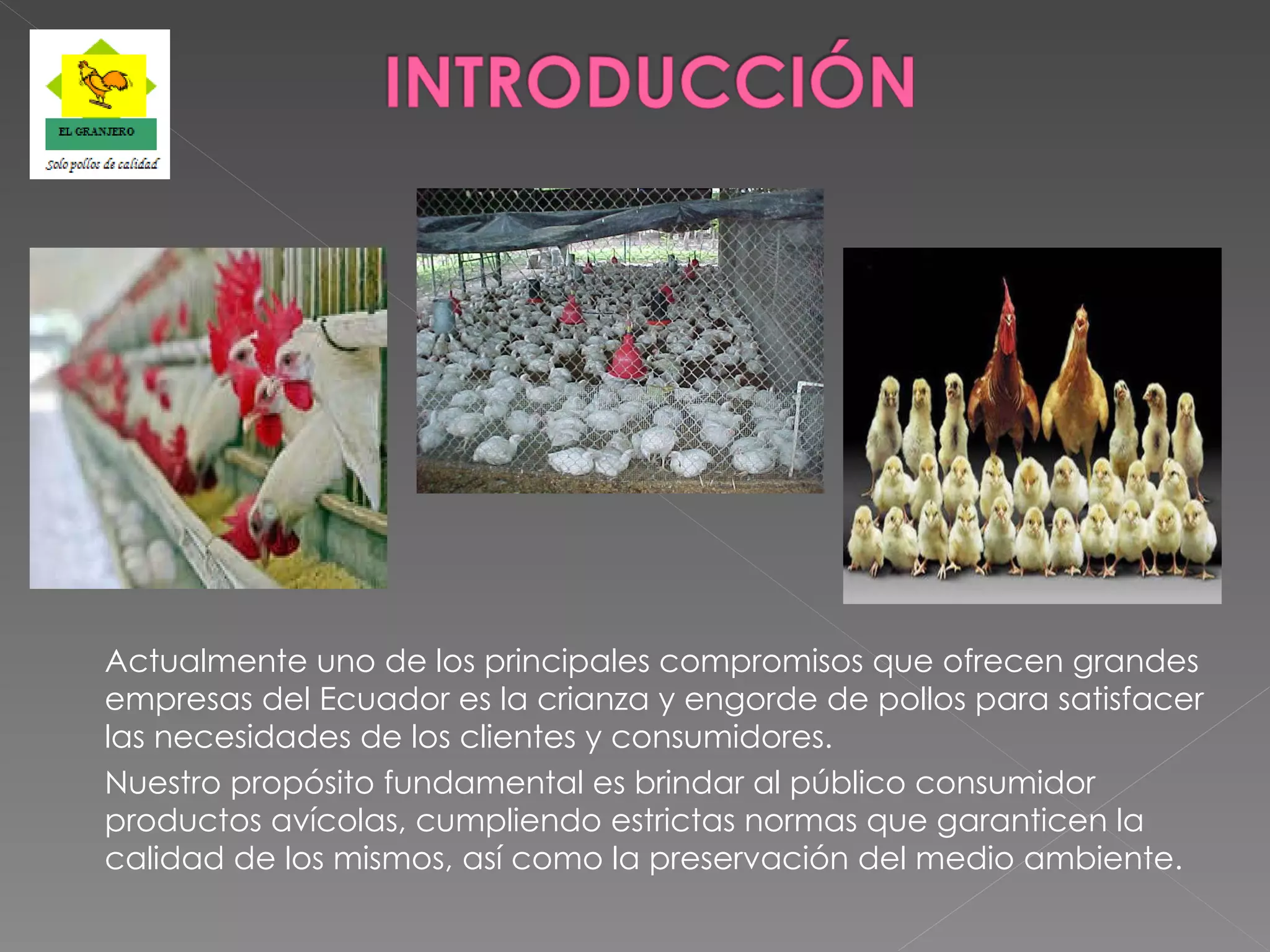 Criadero de Pollos-Misión,Visión | PPT