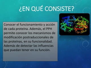 Proyecto proteoma humano | PPTX