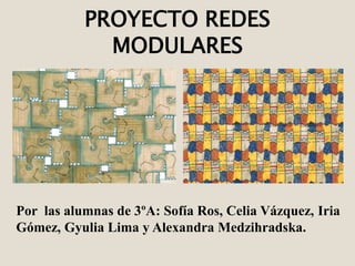 Proyecto redes modulares new | PPT