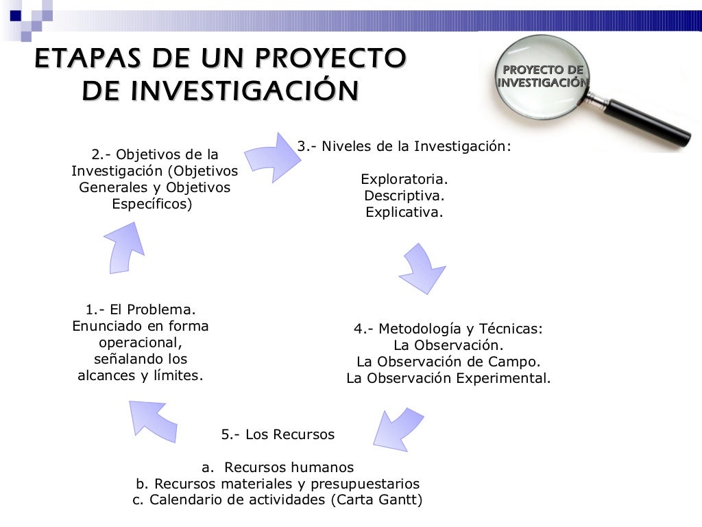 Proyectos de investigacion : PROYECTOS