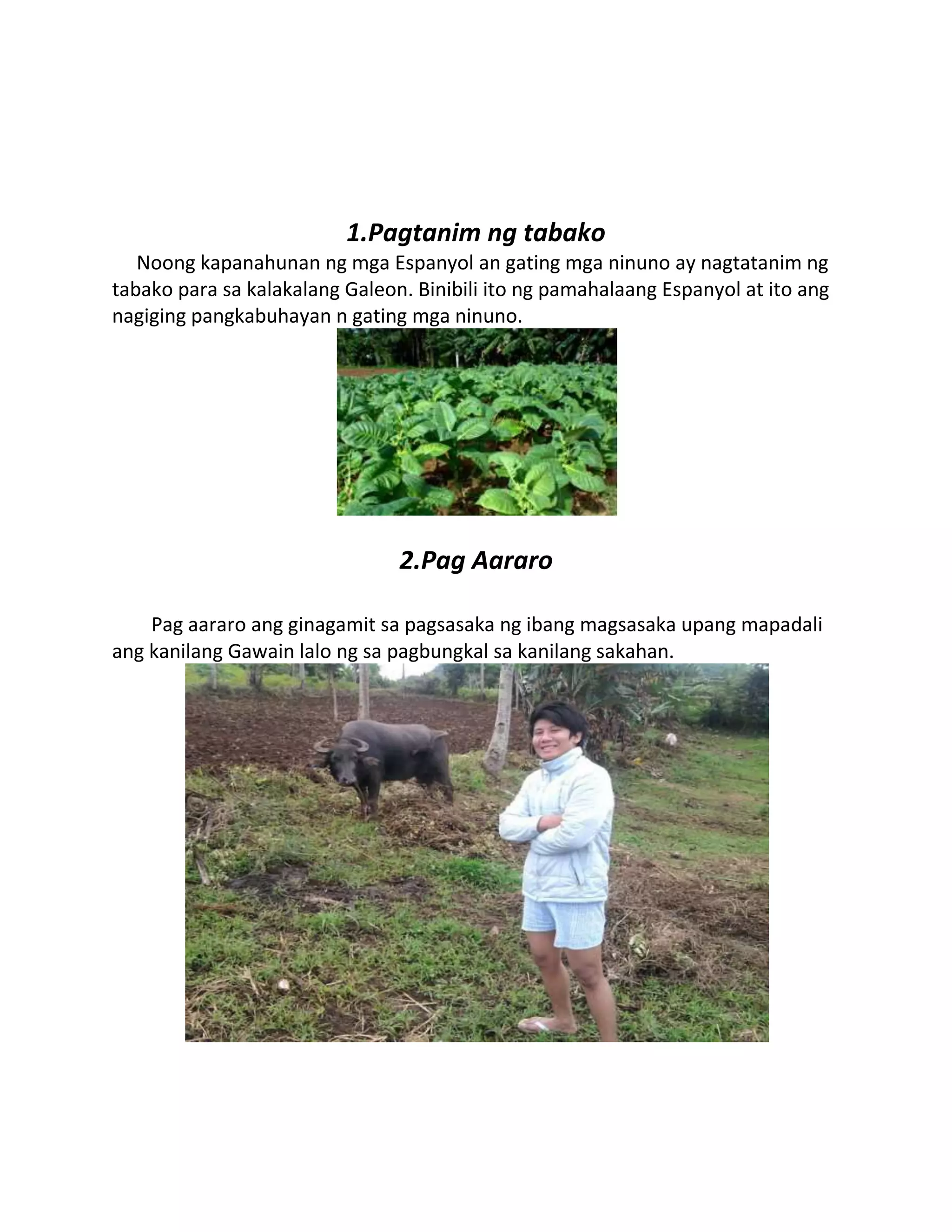 Proyekto sa hekasi 1st grading | DOCX